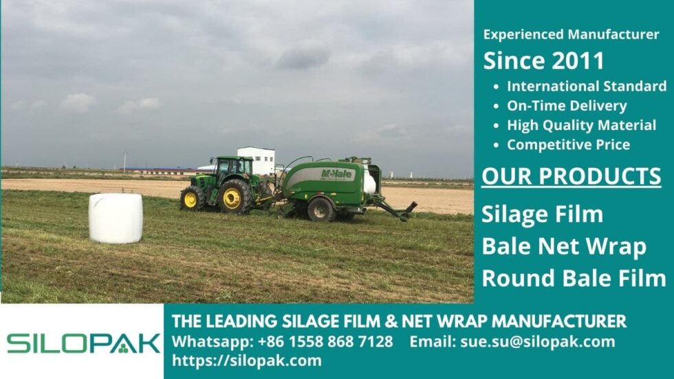 Guide to Processing Lucerne Fodder from Planting to Harvesting ...